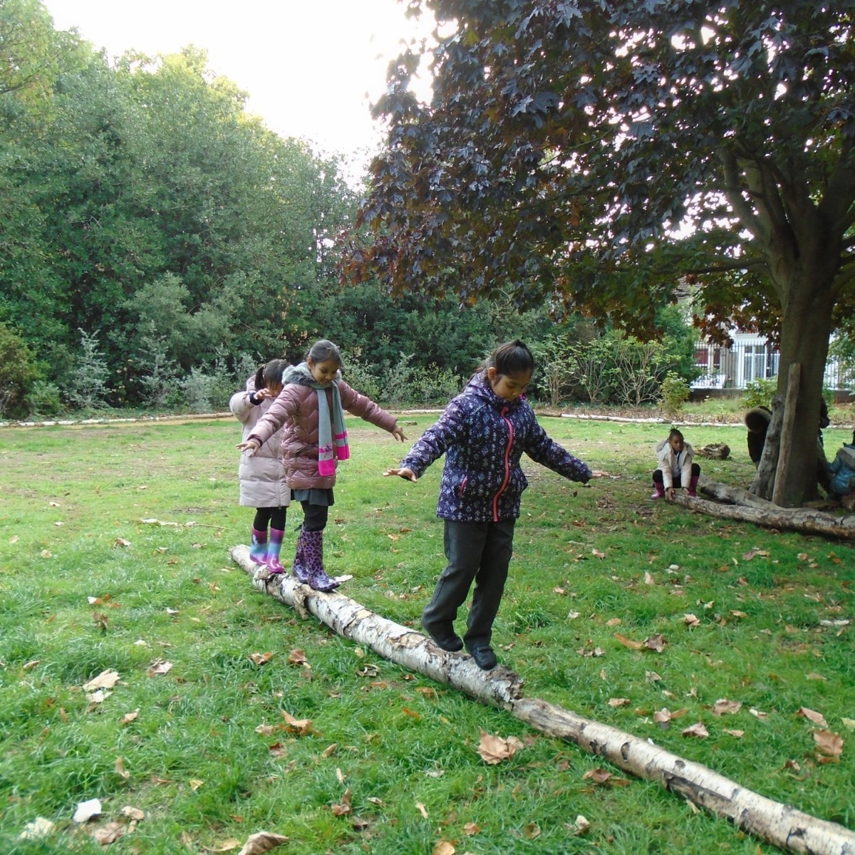 Curwen Primary School - Forest School Update